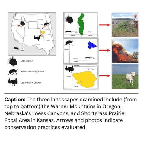 Next Generation Technologies Unlock New Possibilities To Track Rangeland Productivity And