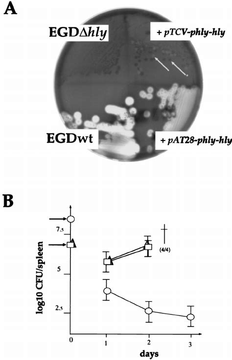 Complementation A In Vitro Complementation The Hemolytic Phenotype