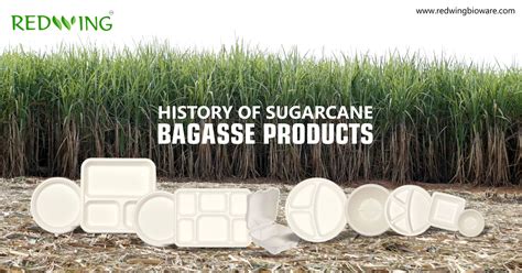 History Of Sugarcane Bagasse Products Redwing Bioware