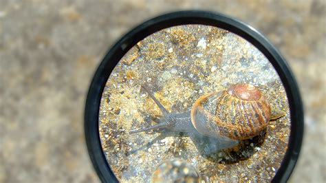 Ntopng Installation Weberblog Net