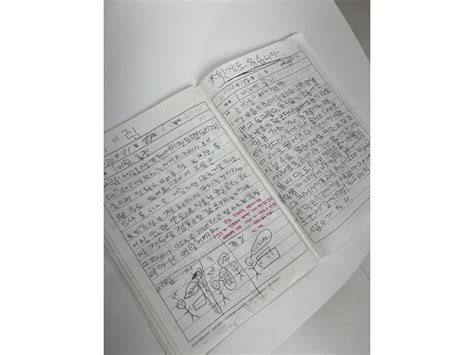 와이즈만 과학일기 와이즈만북스