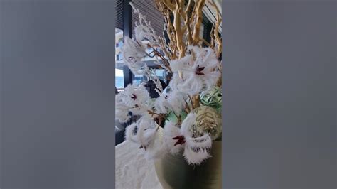 신기하네 투박한 목화꽃 And 세련된 목화꽃당신은 Youtube