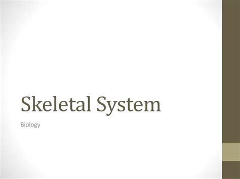 PPT Skeletal System PowerPoint Presentation Free Download ID 3249260