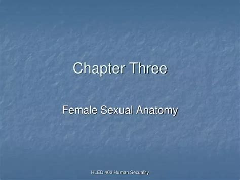 PPT Chapter Three PowerPoint Presentation Free Download ID 848626