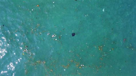 Ocean Surface And Plastic Trash Aerial View Of Floating Plastic Pollution In Bali 55863263