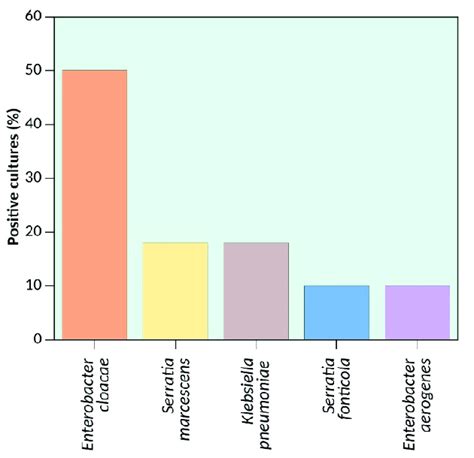 Good Bacteria Vs Bad Bacteria Graph
