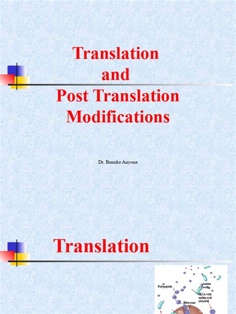 Lecture 5 Translation And Post Translational Modifications Of Proteins Pdf Translation