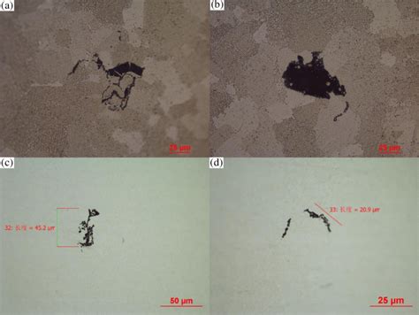 The Typical Inclusion Morphology Of Two Alloys After Heat Treatment