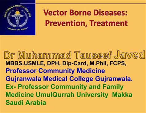 Vector Borne Diseasespptx