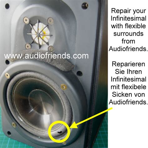 Infinity Infinitesimal 3 Three Iii 1x Foam Surround