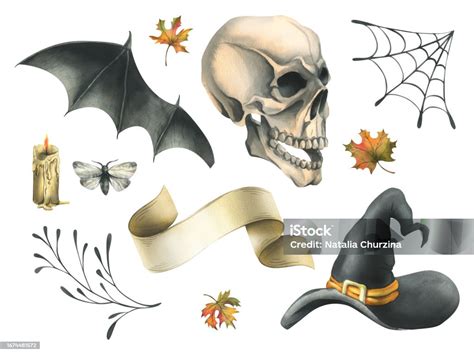 박쥐 날개 나방 종이 두루마리 마녀 모자 거미줄 가을 단풍잎이 있는 인간의 두개골 할로윈을 위한 손으로 그린 수채화 그림 흰색 배경에 격리된 요소 집합입니다 10월에 대한