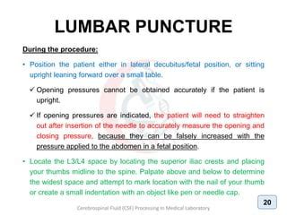 Csf Processing In Medical Laboratory 01 Pdf