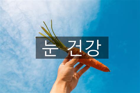달큰하고 아삭한 당근 당근 효능과 효과적으로 섭취하는 방법은 네이버 포스트