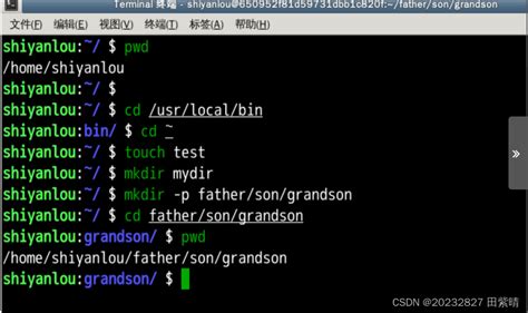 实验楼:linux 基础入门(新版) 实验四linux实训4 Csdn博客 实验楼:linux 基础入门(新版) 实验四linux实训4 Csdn博客