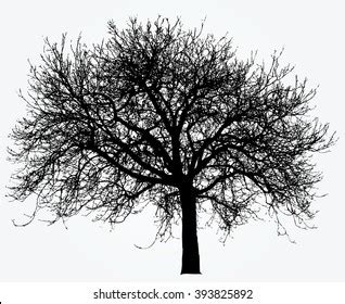 Vector Drawing Big Naked Winter Tree Stock Vector Royalty Free 393825892 Shutterstock