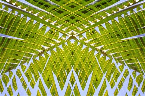 예술직 초록색입니다 추상적임 패턴 배경기술 0명에 대한 스톡 벡터 아트 및 기타 이미지 0명 2015년 녹색 Istock