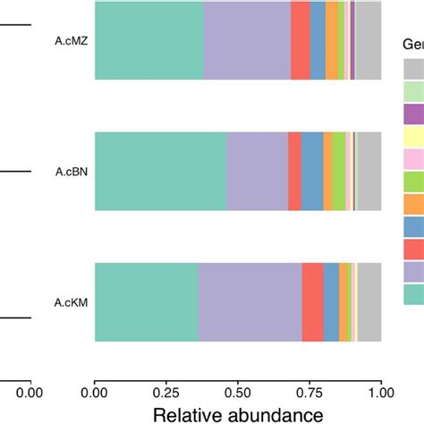 Bar Plot Clustering At The Genus Level Mean Of Each Group The Left