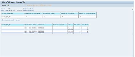 Al08 Sap Tcode Users Logged On