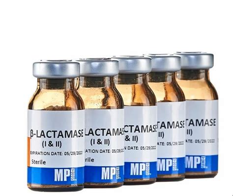 Beta Lactamase 1 Vial At ₹ 6103vial Navi Mumbai Id 2853671204555