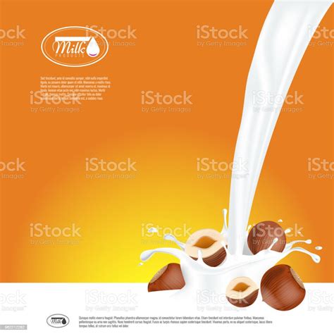 우유 스플래시와 헤이즐넛 3d 벡터 개체입니다 유기농 유제품에 대 한 벡터 준비 광고 레이아웃 템플릿 0명에 대한 스톡 벡터 아트 및 기타 이미지 Istock