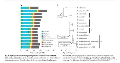 跟着nature Genetics学作图：r语言ggtree画进化树展示不同种番茄的进化关系 知乎