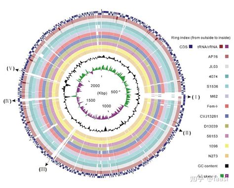 条件致病菌——细菌比较基因组学分析平台及相关应用文献 2 知乎