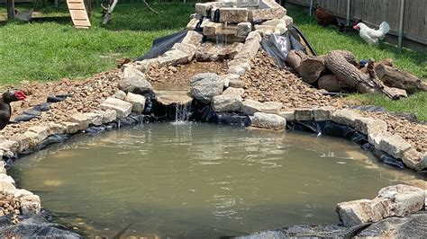 Diy Chicken And Duck Pond Backyard Homestead Youtube