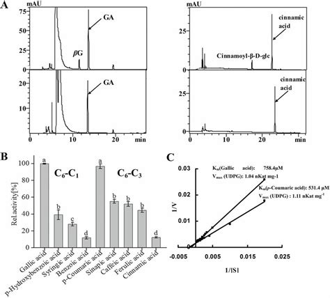 Enzymatic Analysis Of The Recombinant Ugt Proteins With Different