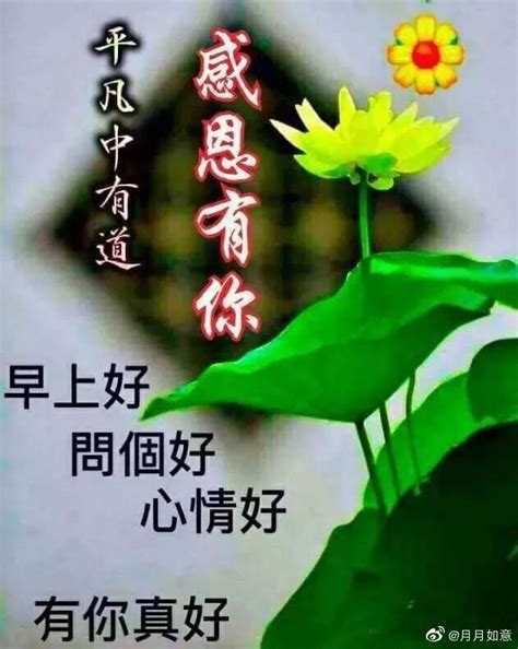 最美好的祝福图片带字 思念朋友早上好图片 中午好问候带字图片 大山谷图库