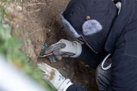 Fossils Layers Of Intimacies Martina Morger