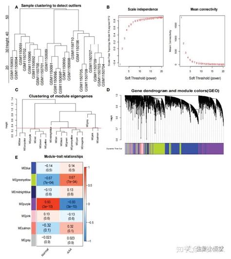 最新8 非肿瘤生信，单细胞 Wgcna 机器学习 Pcr验证，可模仿！ 知乎