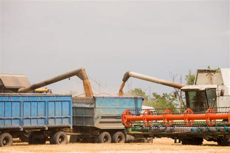 รูปภาพunloader เลือกดูภาพถ่ายสต็อก เวกเตอร์ และวิดีโอ420 Adobe Stock