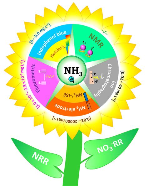 Illustration Of Five Major Quantification Methods That Have Been Used