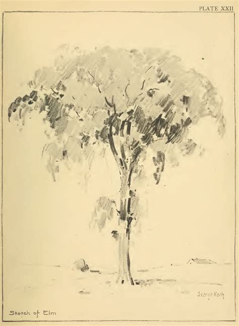 Drawing Foliage Shrubs And Trees How To Draw Foliage And Trees With The Following Lessons