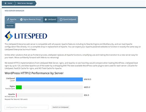 LiteSpeed Web Server For High Speed Performance ScalaHosting Blog