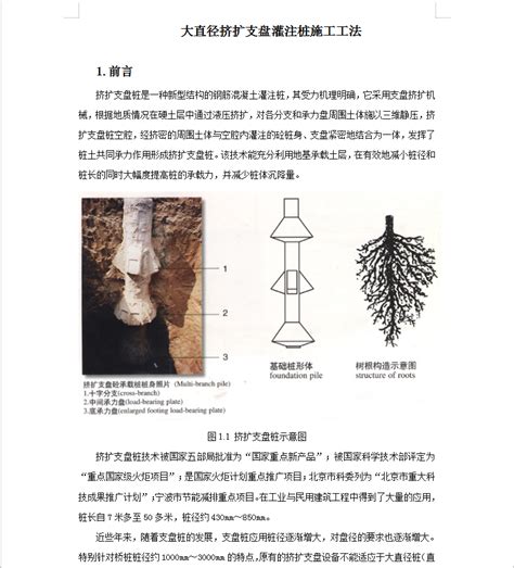 大直径挤扩支盘灌注桩施工工法 23p免费下载 地基与基础工程 土木工程网