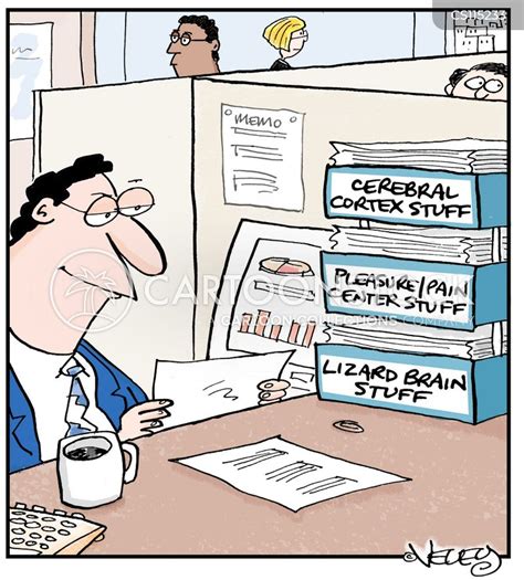 Funny Pictures Of Office Cubicles At Rodney Jasper Blog