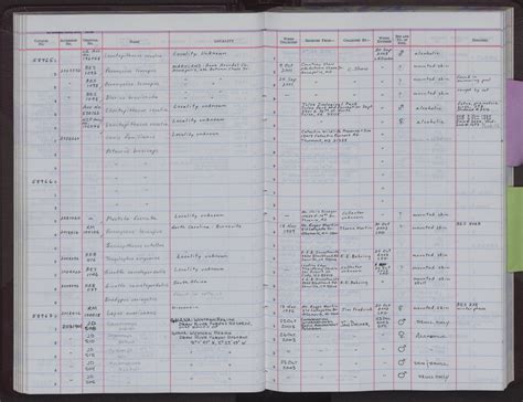 Semnopithecus Entellus Smithsonian Institution