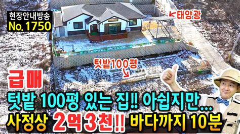 급매 텃밭 100평 있는 집 바다에서 10분 전원주택 매매 급매물 사정상 처분 탁트인 전망 아파트식 구조 읍내 10분 생활권 건령 2년 태안부동산 발품부동산tv