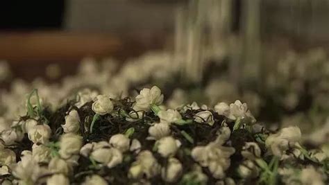 窨花茶 窨制 继承人 第15页 大山谷图库