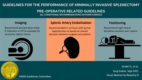 Guidelines For The Performance Of Minimally Invasive Splenectomy A Sages Publication