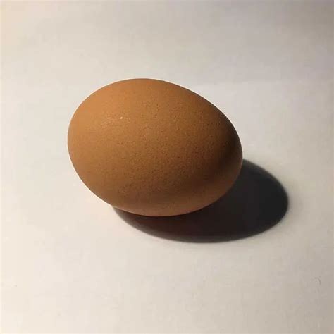 Beginners Guide to Light and Shadow for Artists 정물회화 계란 정물