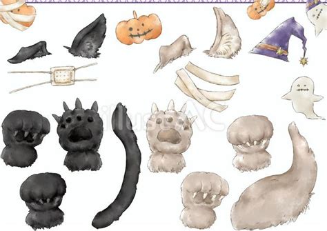 무료 벡터 제목