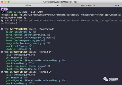 漫画：如何分析运行中的python程序？python在线运行分析 Csdn博客