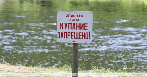 Купание не рекомендовано на семи пляжах Беларуси Новости Mail