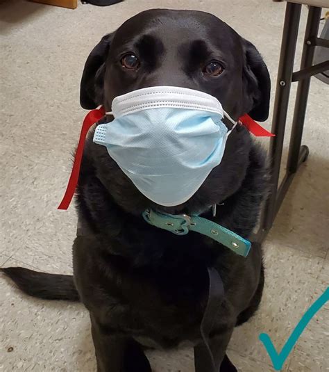 enloe medical center on linkedin enloe