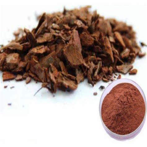 Pine Bark Extract Pinus Pinaster Extract Latest Price Manufacturers