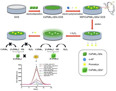 Polymers Special Issue Polymers Their Hybrid Materials For Optoelectronic Applications