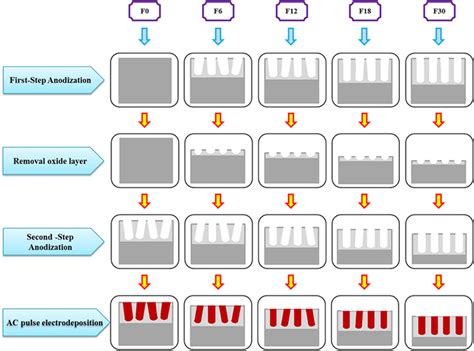 Schematic Illustration Of The Stages Of The Cobalt Nanowires Array