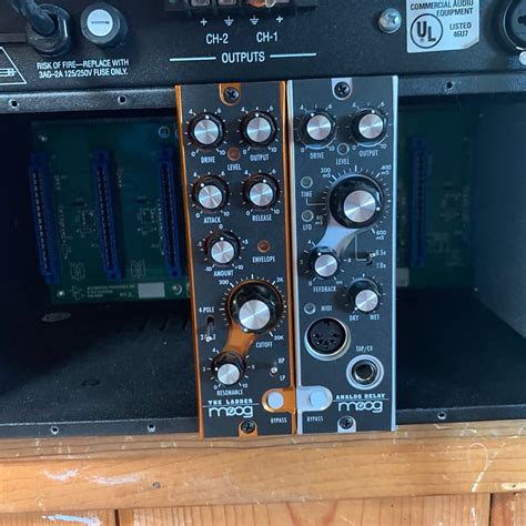 Moog Series Analog Delay Module Reverb